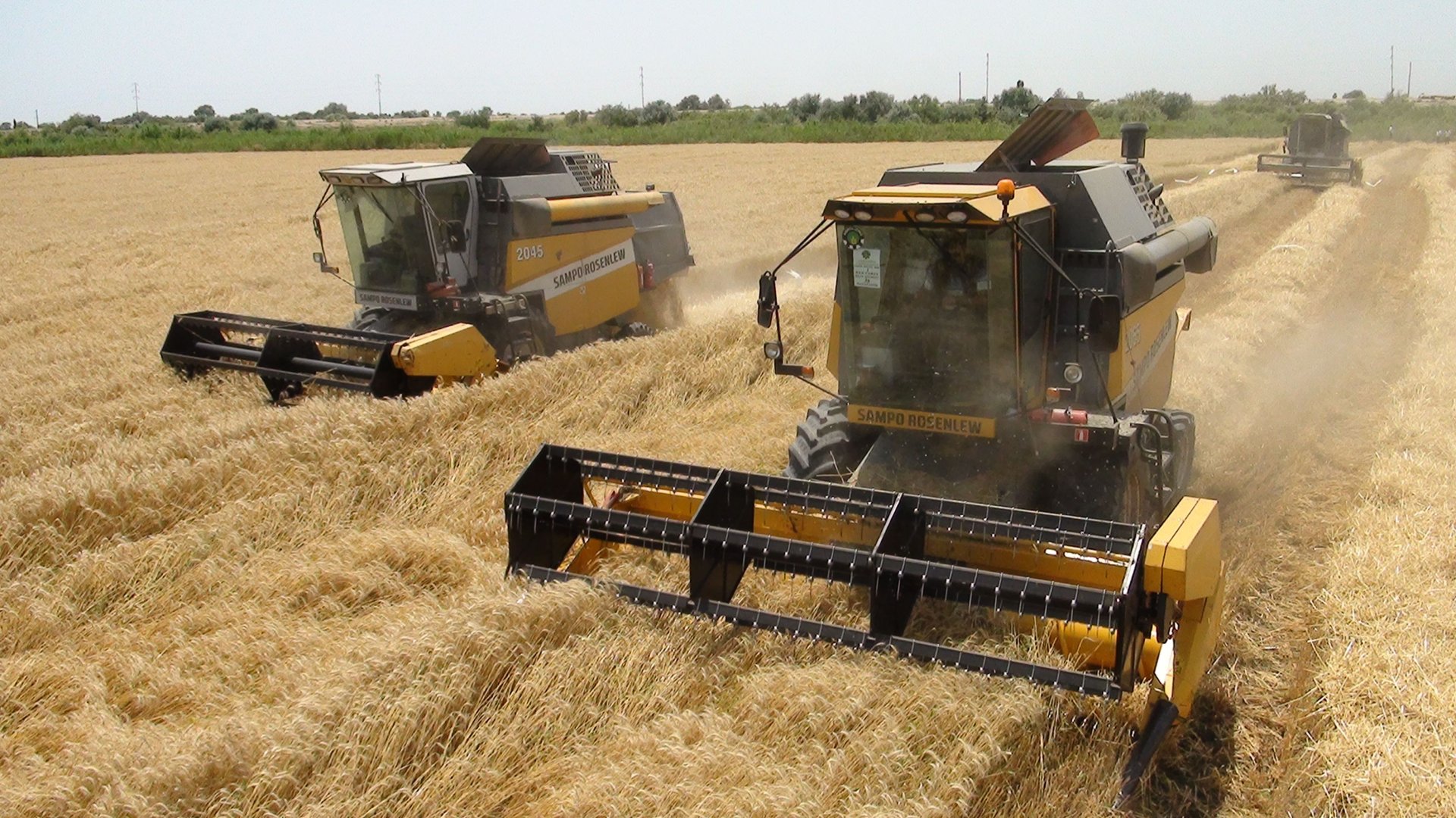 Сколько техники задействовано в уборке зерновых в Азербайджане? - Trend.Az